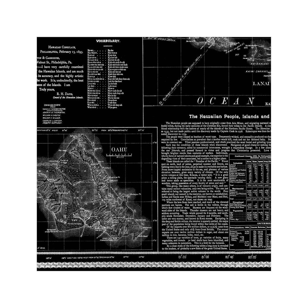 Hawaii Topographical Map – Foundry